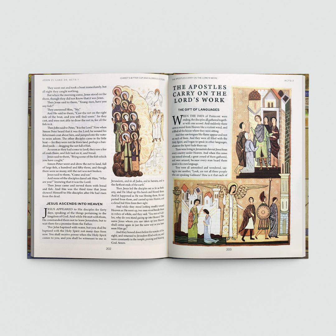 The Holy Bible Adapted for Young Readers – Holy Heroes