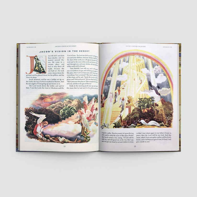 The Holy Bible Adapted for Young Readers – Holy Heroes
