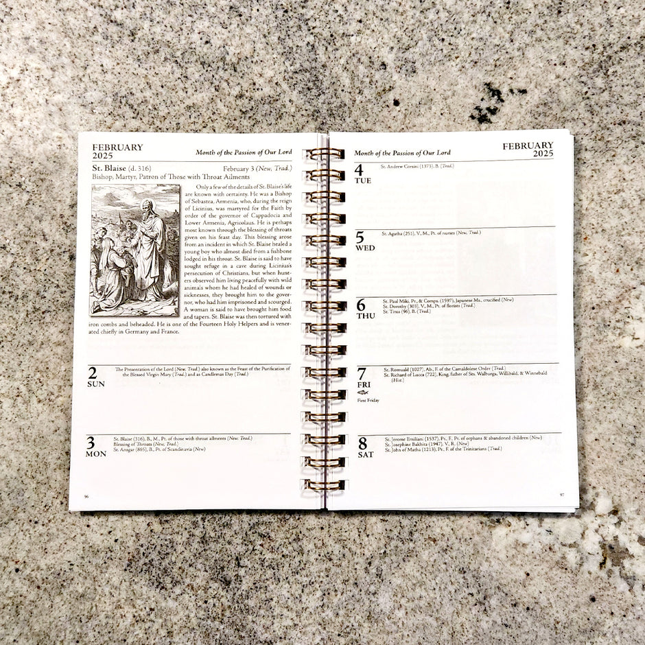 Holy Heroes - Catholic childrens books, CDs, DVDs, and gifts